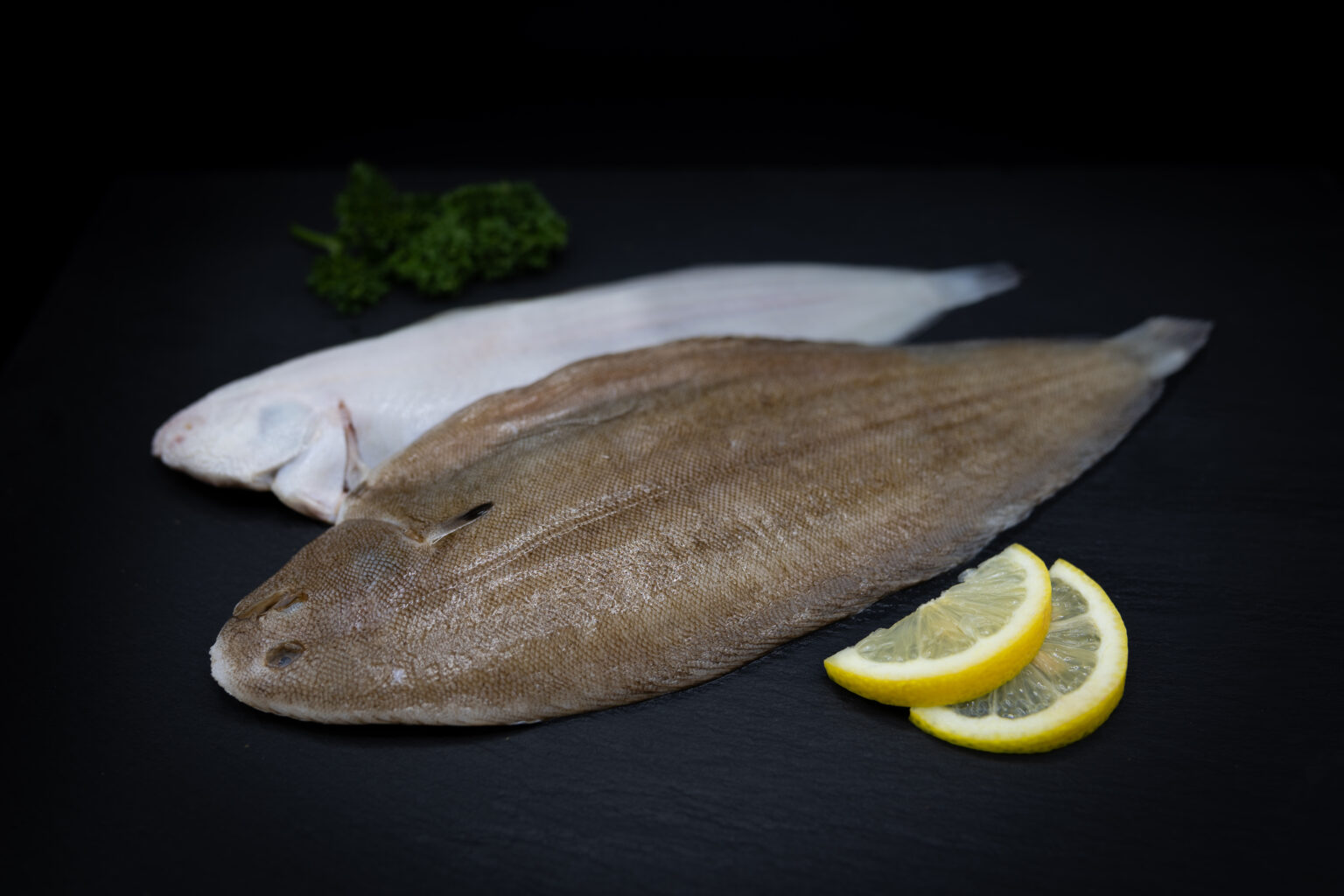 Home - North Seafood